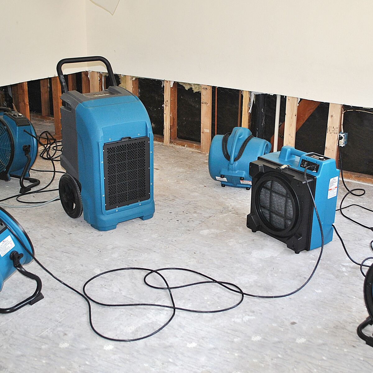 Importance Of Structural Drying Services After Water Damage